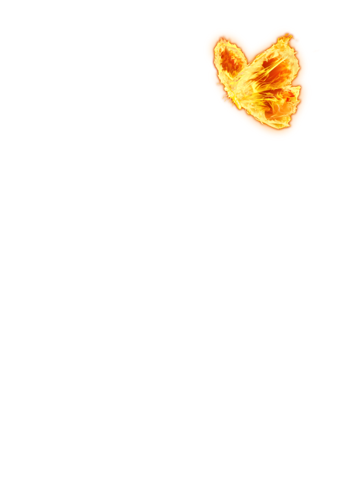 TulipsArt NFT platform