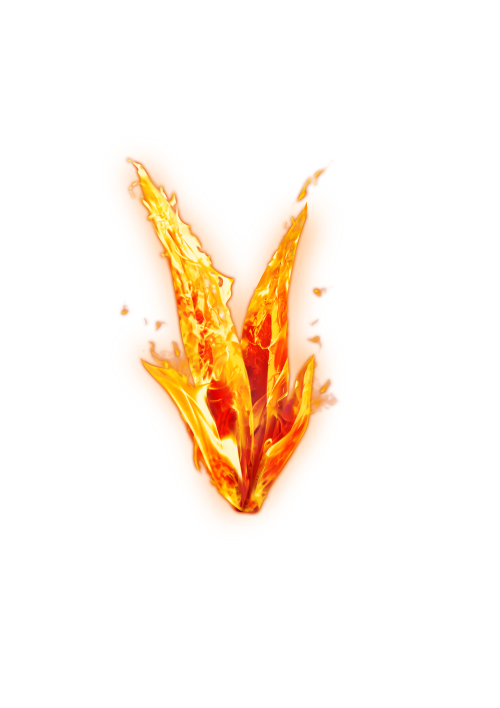 TulipsArt NFT platform