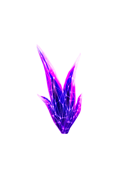 TulipsArt NFT platform